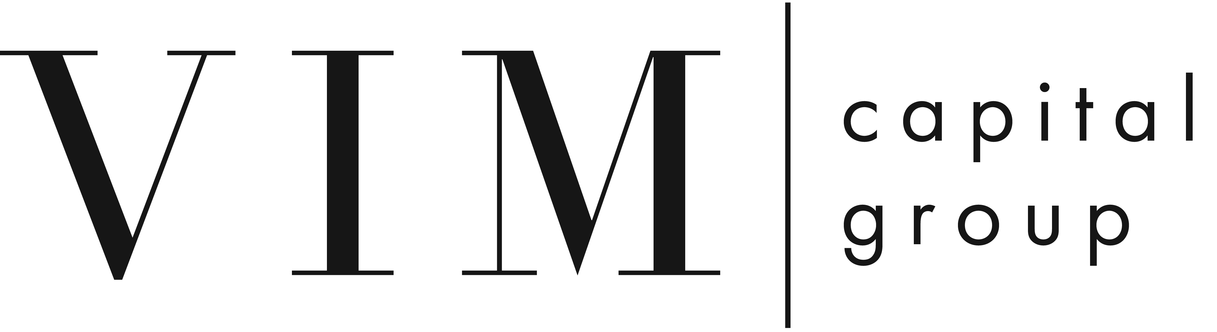 Home - VIM Capital Group